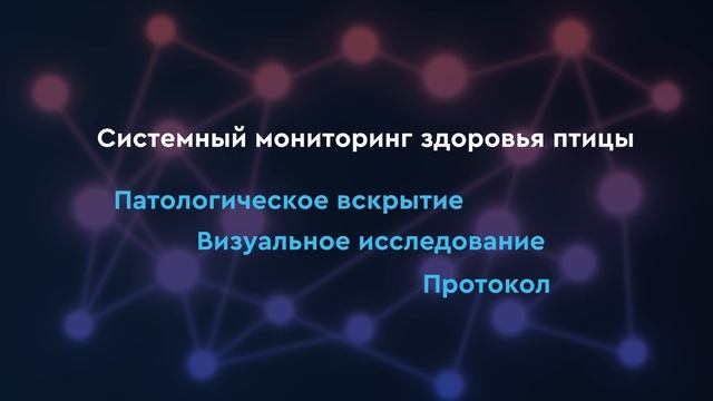 Комплексный подход к мониторингу здоровья птицы от ГК ВИК