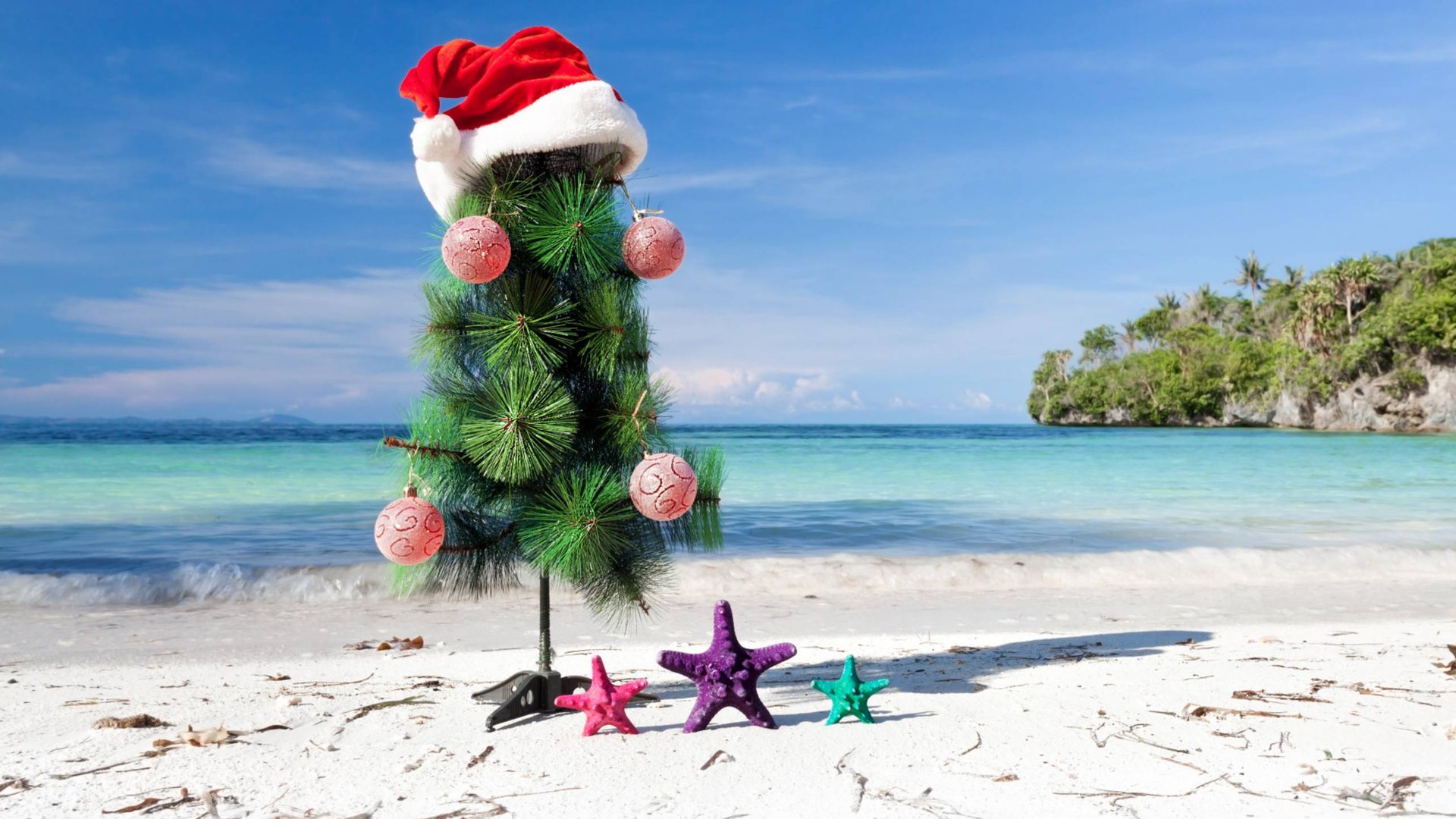 #audio ZPP - СУЛТАН и ПАПА (латинская-студенческая "из вагантов")