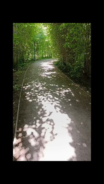 тридевятое царство