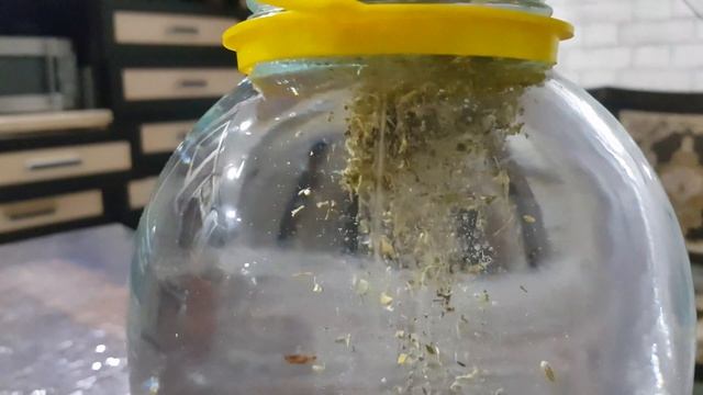 АБСЕНТ НА САМОГОНЕ ДВОЙНОЙ ПЕРЕГОНКИ  ЧАСТЬ №1