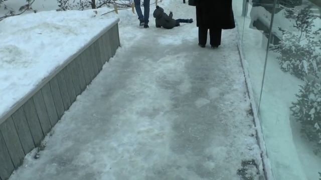 Парк "Зарядье" зимой