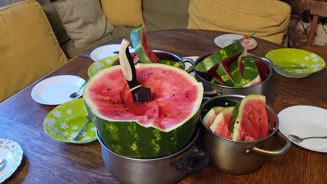 Питер 2023 часть 1☀️Дом родителейНа даче у бабушки