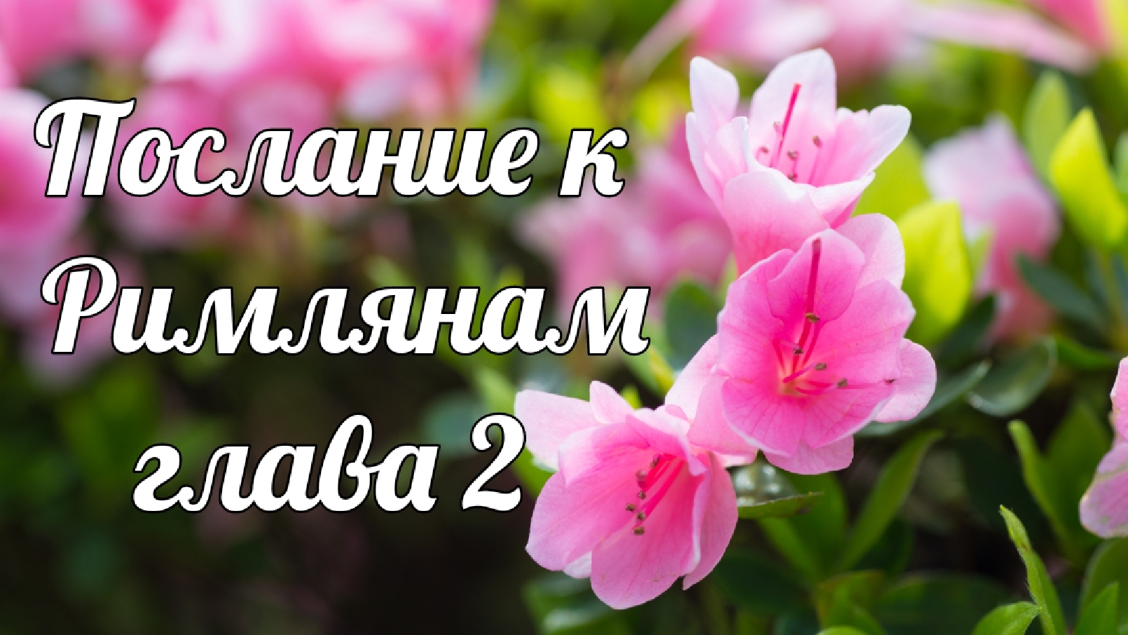 Послание к Римлянам глава 2