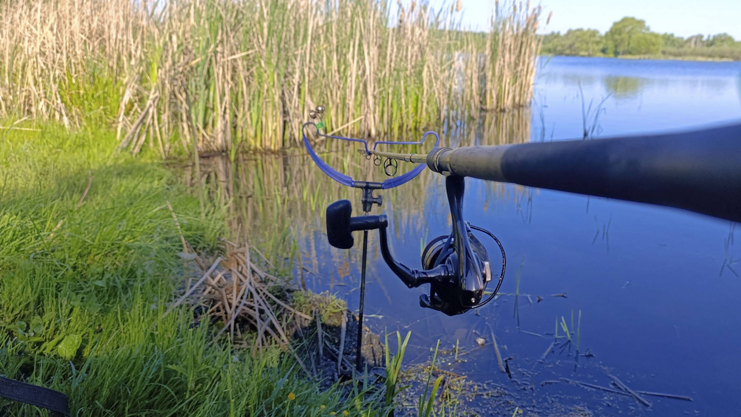 весення рразведка по карасю