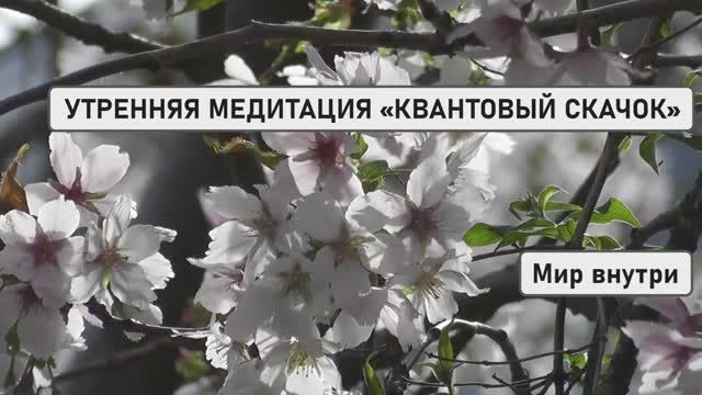 УТРЕННЯЯ МЕДИТАЦИЯ «КВАНТОВЫЙ СКАЧОК» | Измени Реальность за 5 Минут