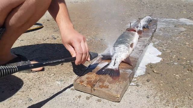 ЛАЙФХАК ДЛЯ РЫБАКОВ. ЧИСТИМ ЩУКУ АВТОМОЙКОЙ КЕРХЕР