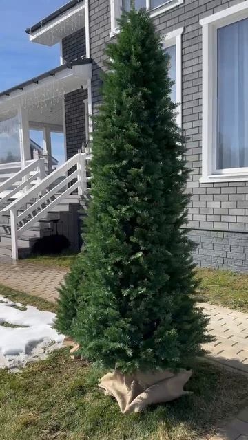 ТУЯ искусственная  250 см ТМ Crystal Trees