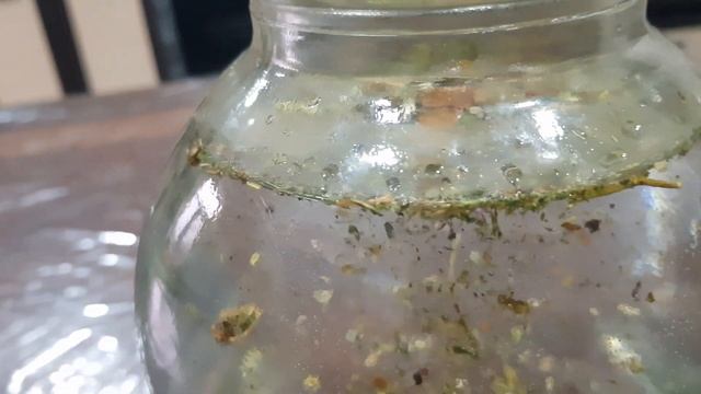 НАСТОЙКА АЛТАЙСКАЯ.ЛУЧШАЯ ПОМПА ДЛЯ ВОДЫ И АЛКОГОЛЯ