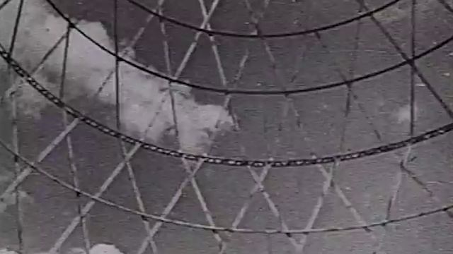 Къаман турпалаш 240524 автор Дзортанаькьан Марина