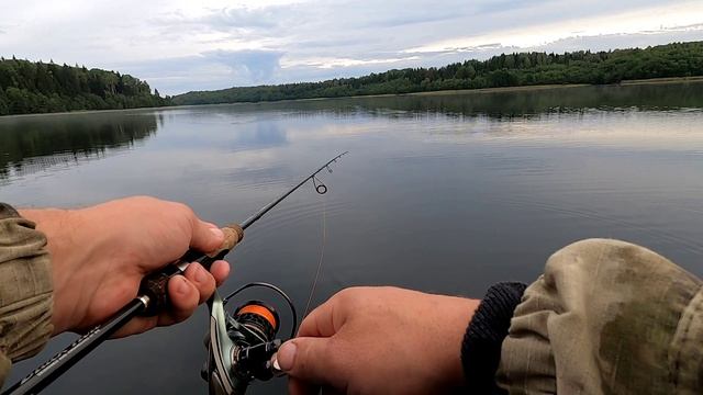 Неожиданно сработал поппер. Ловля окуня на спиннинг