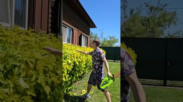 Инструкция кусторез Хозмастер