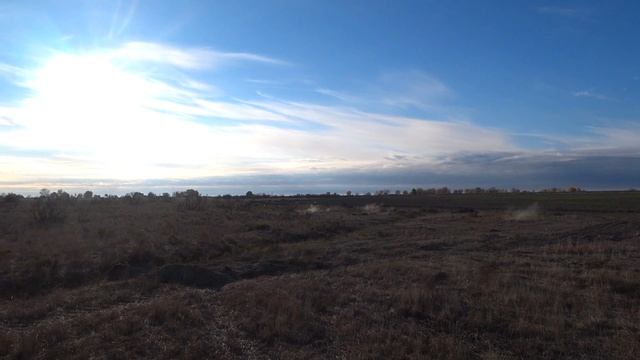 ОХОТА НА ЗАЙЦА 2018. БУЙНЫЙ ЗАЯЦ. Успокоил зайца с третьего выстрела.