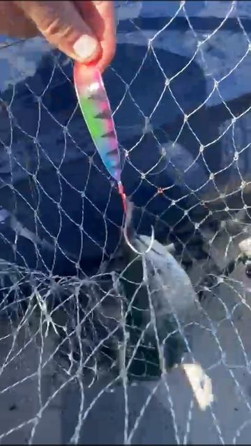 Александру, спасибо за отчет 😎