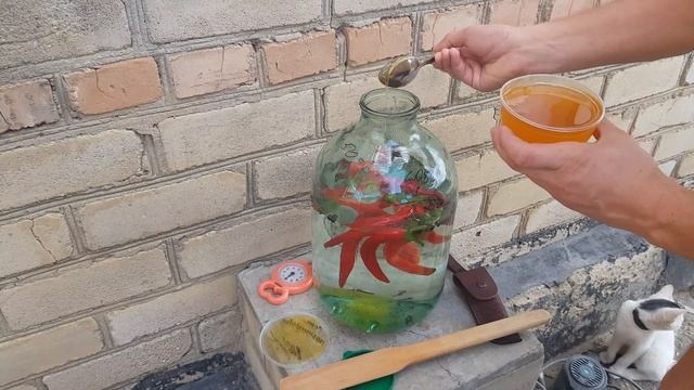 РЕЦЕПТ ВКУСНОЙ ПЕРЦОВКИ ИЗ ЯБЛОЧНОГО САМОГОНА. ГЛАВНЫЙ ИНЖЕНЕР - САХАРОК.