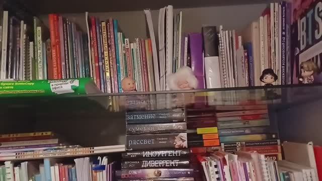 Хобби влог Шкаф с моими сокровищами Хранение организация раскрасок и книг