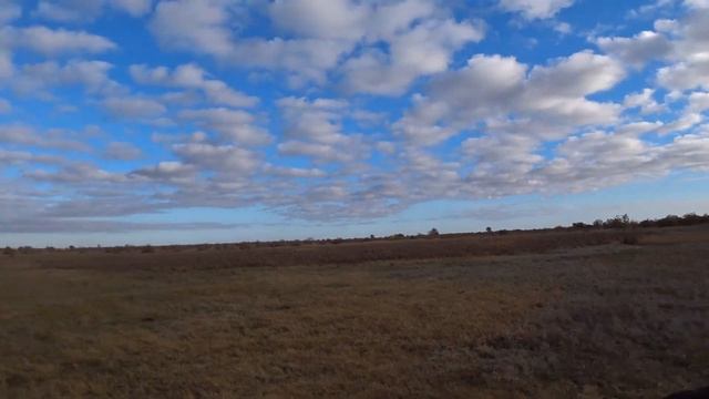 СУПЕР ОХОТА НА ЗАЙЦА 2018.ОХОТА УДАЛАСЬ.Вы бы видели это...