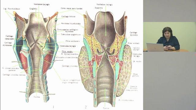 2030_кравец_стародубровская_2_4