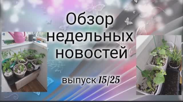 ✨Вязовлог :22.05-26.05✨ Мои огородные дела😉Обзор новой носочной пряжи✨