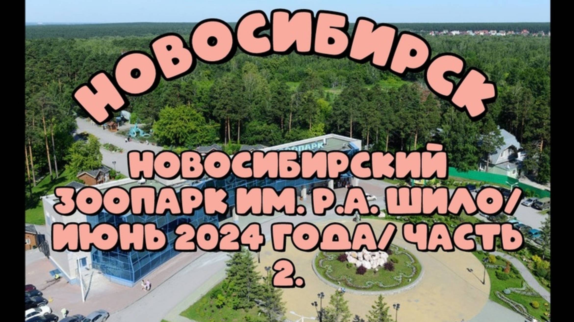 Новосибирский зоопарк имени Р.А. Шило. Июнь 2024 года. Часть 2.