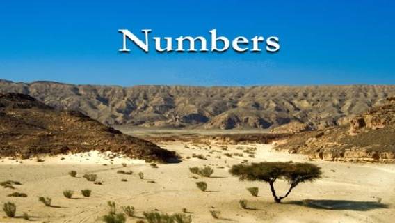 2. ЧИСЛА_ КАЖДЫЙ ПРИ ЗНАМЕНИ СВОЕМ_КТ, Миссионерский центр "Сонрак"