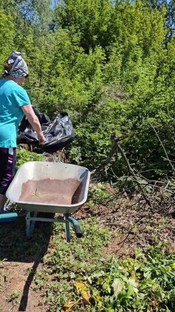 Куда вывозить траву