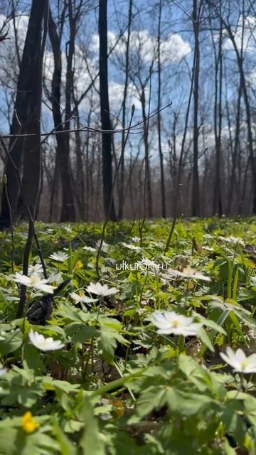 Отдых на курорте