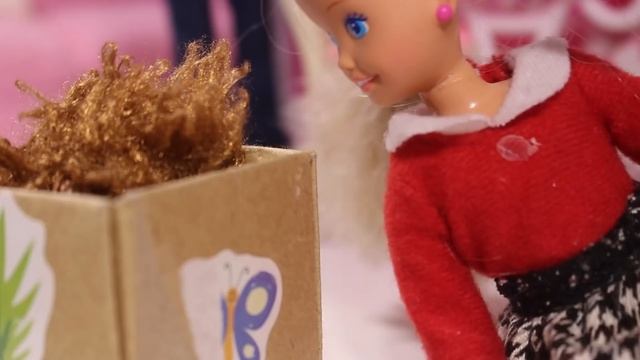 Даша выросла. Маша покрасила волосы - Сериал  Мама Барби