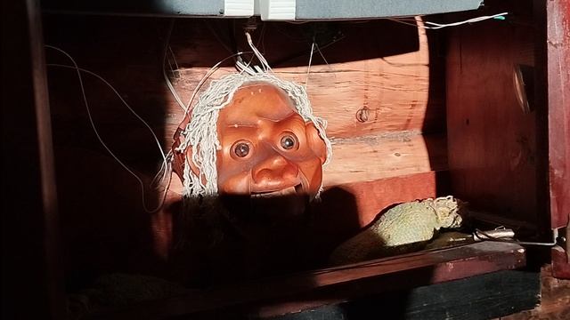 Томск-Красноярск, 2025_02. Живая кукла, Кукушка