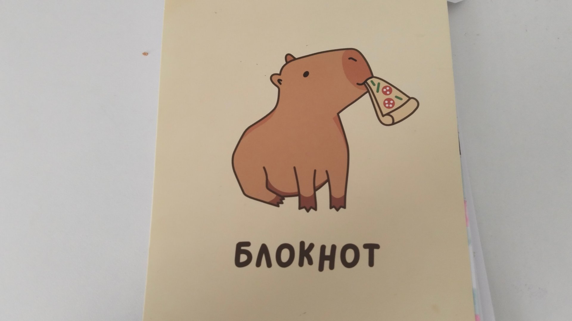 Распаковка бумажных сюрпризов 📦 (обложки на видео не было, поэтому Люся 😊)