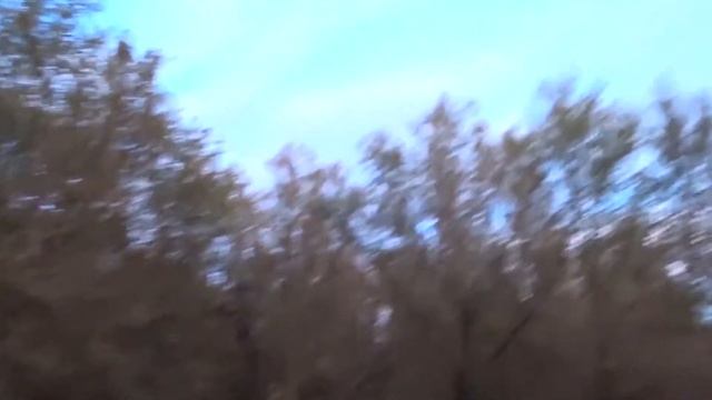 СУПЕР ОХОТА НА ВЯХИРЯ