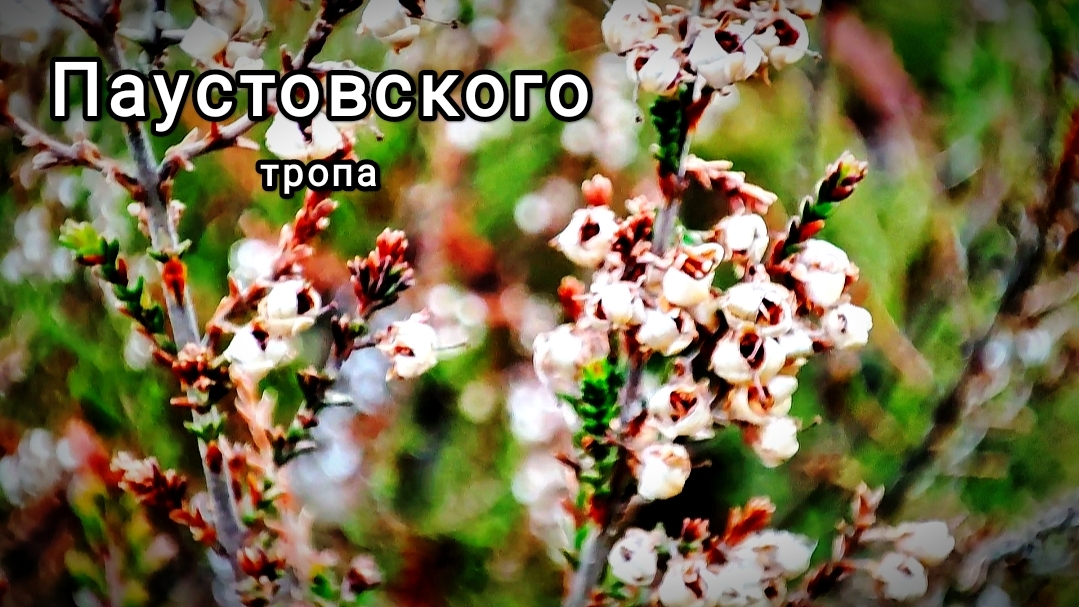 Тропа Паустовского. Часть 7