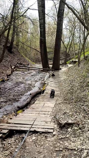 Томск-Красноярск, 2025_05. Михайловская роща
