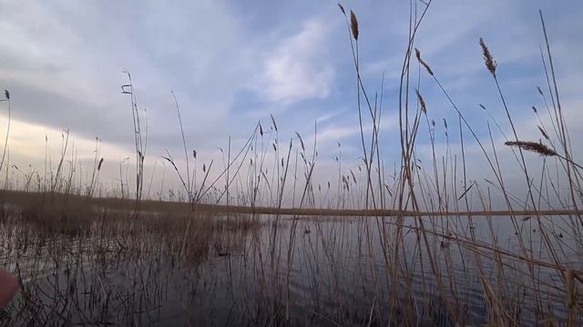 ЗАКРЫТИЕ ВЕСЕННЕЙ ОХОТЫ 2019. БЕГЛЫЙ ГУСЬ. ENG SUB