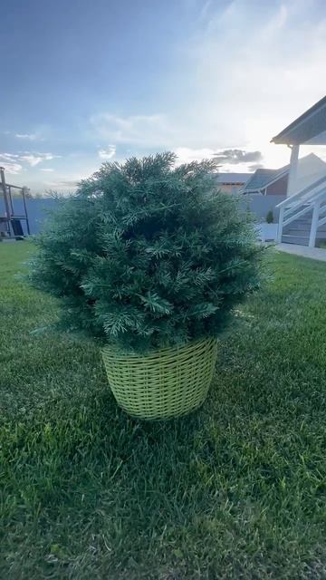 ТУЯ искусственная ТМ Crystal Trees