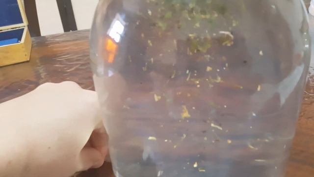 ГРАФ РАЗУМОВСКИЙ САМАЯ ЛУЧШАЯ НАСТОЙКА НА ДОМАШНЕМ САМОГОНЕ.  Рецепт огонь