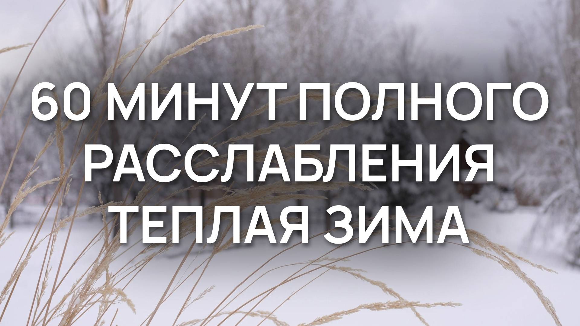 60 минут полного расслабления на 100 % | Теплая деревенская зима | Эмбиент асмр релакс 4K
