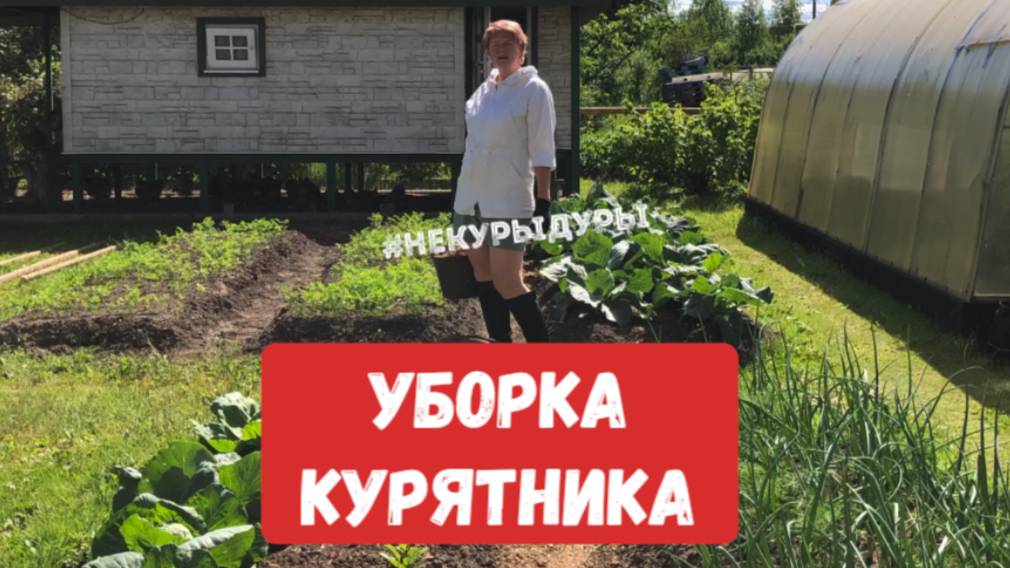 Уборка курятника. Курятник без запаха.