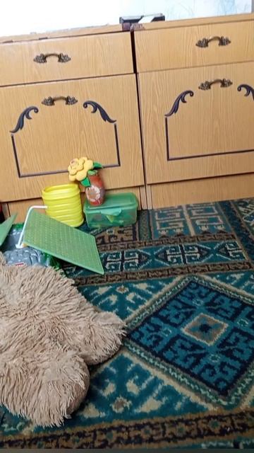 сериал Мишкины истории 1 серия 1 сезона