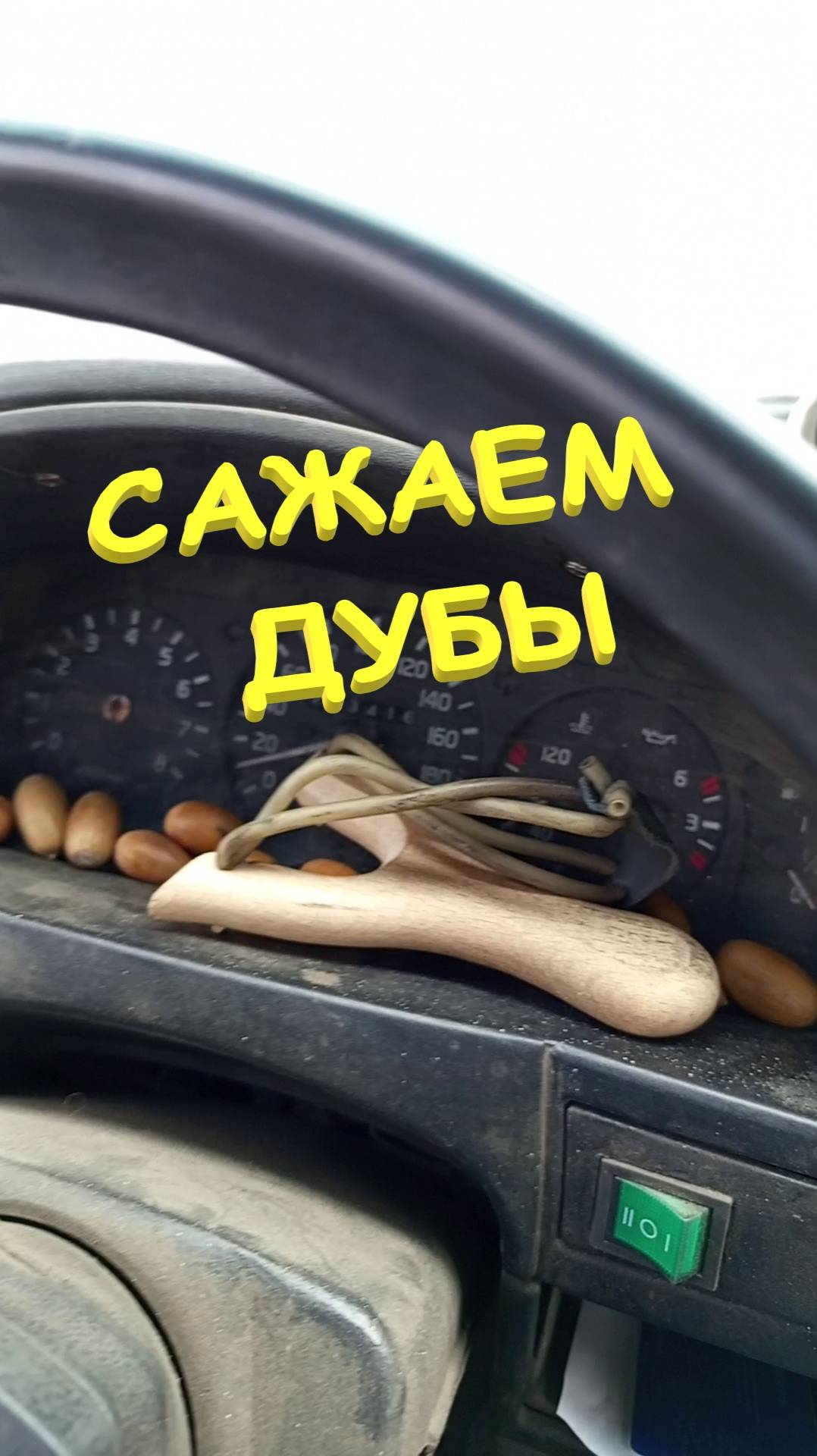 #Сажаем дубы. Жёлуди в рогатке.