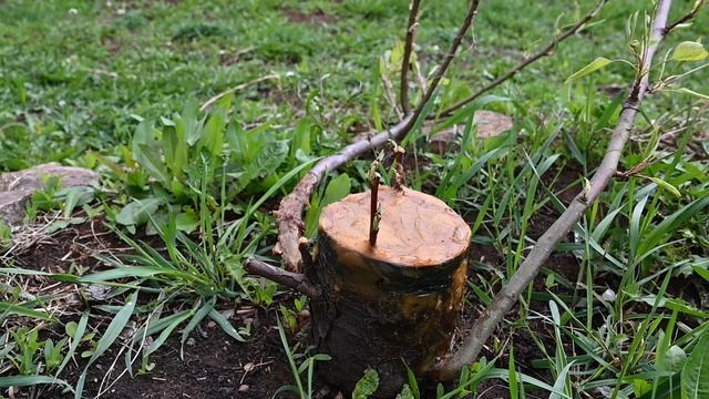 Живу в своем доме, работа есть всегда!!!
