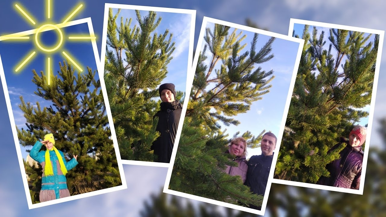 🏡 Какое небо голубое! / Подмосковье/ день 6/ март 2020