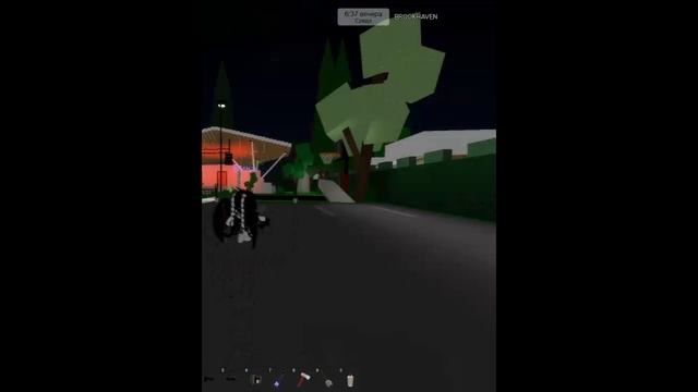 Обзор на свадьбу #роблокс