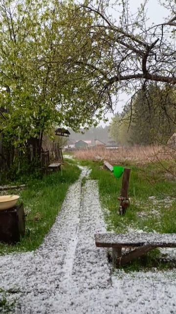 МАЙСКИЙ ГРАД