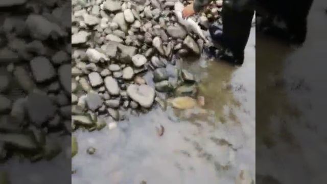 Илье, спасибо за отчёт 😎👍