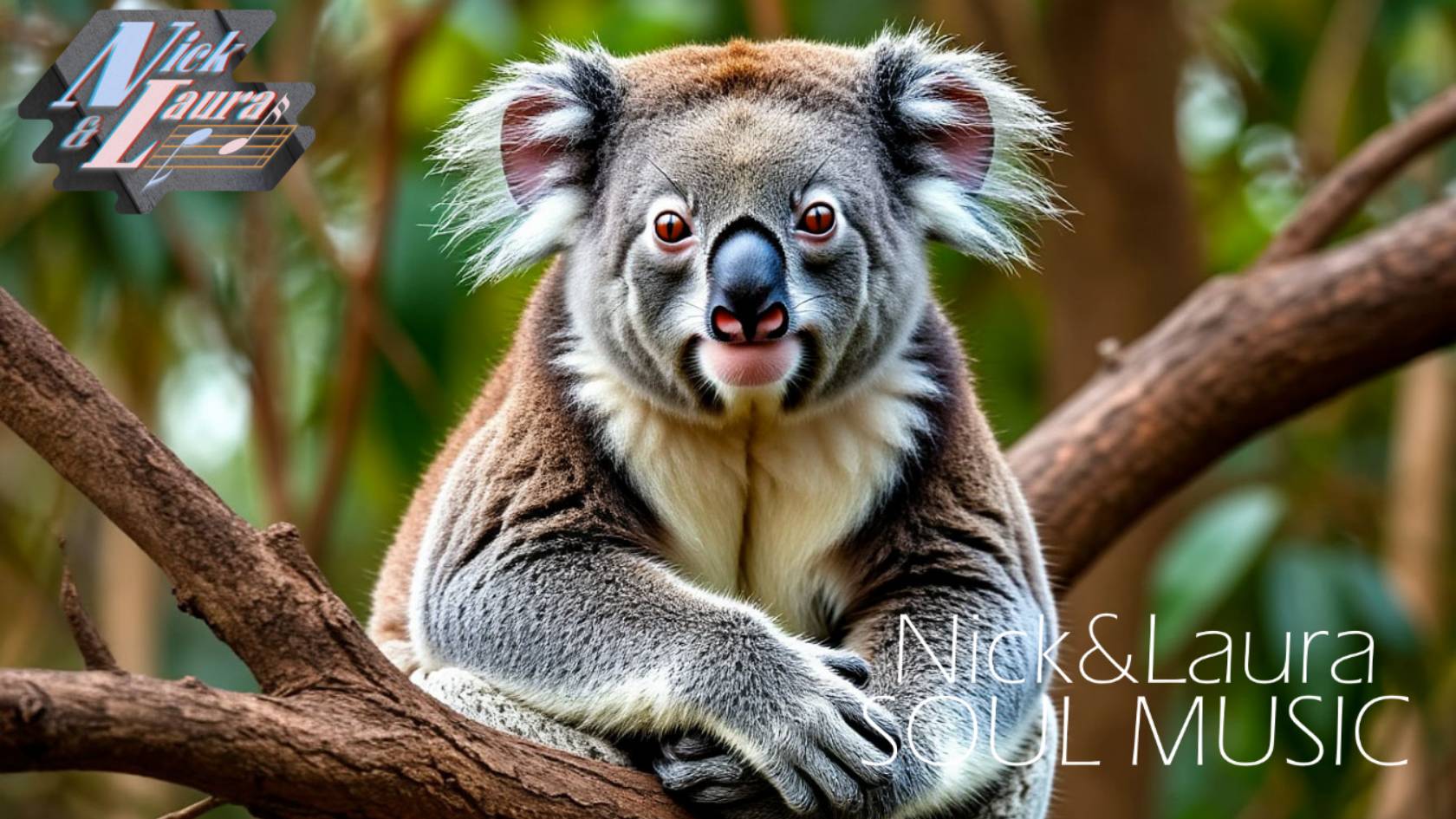 ⚡️AVA-X – МАКАКА КАКАО КОАЛА! ЛУЧШИЙ ДИП-ХАУС РЕЛАКС! ⚓ BEST DEEP HOUSE! | #музыкапесни