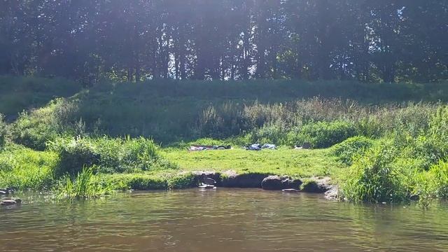 Закрываем купальный сезон 2023Теннис под дождемВозвращаемся в город