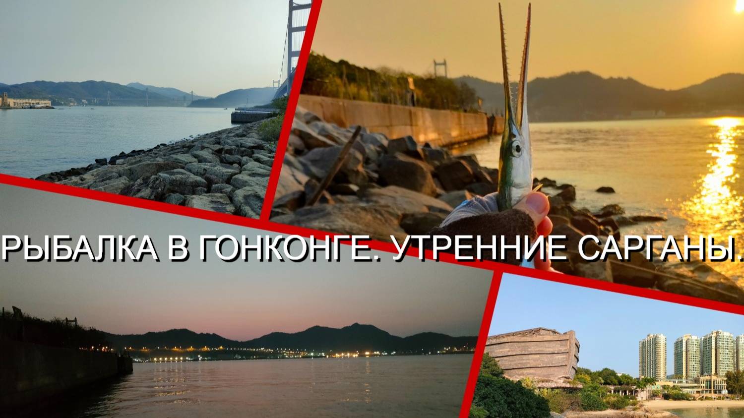 Рыбалка в Гонконге. Выпуск 3. Утренние сарганы.