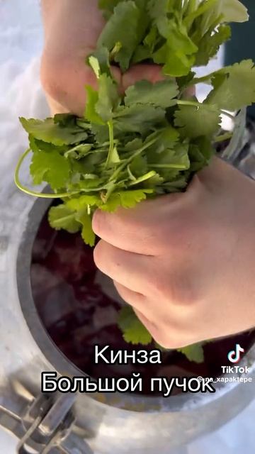 Афганказан Рагу мясное на природе