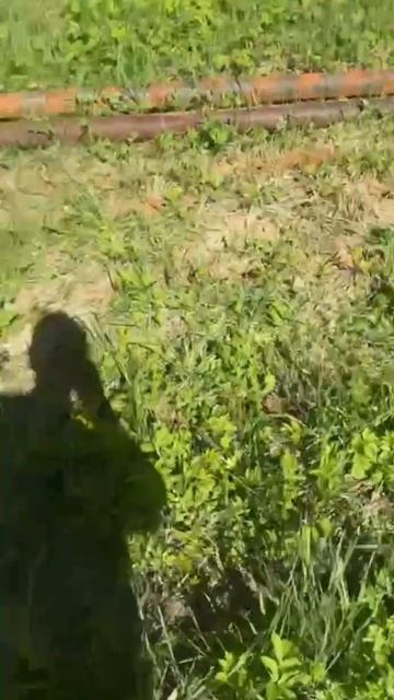 Срочная замена насоса ЭЦВ в Солнечногорском районе