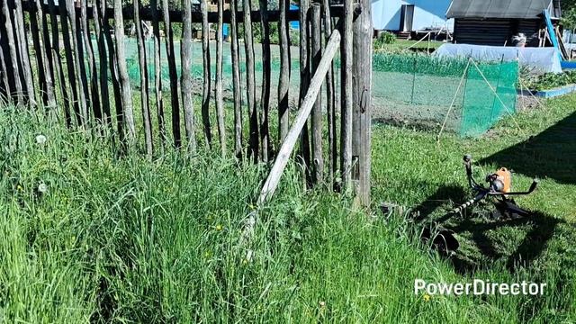 Догоняет упущенное...